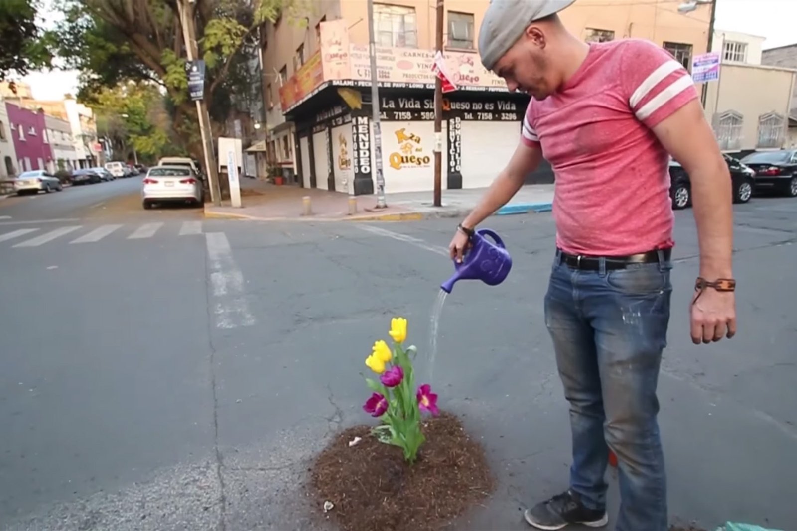 Potholes Become Miniature Gardens In Mexico City — Pop-Up City