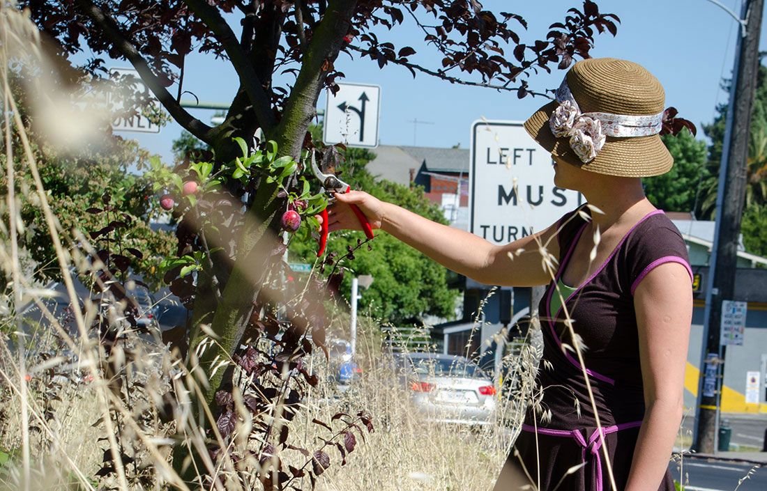 Guerrilla Grafting: Hacking City Trees to Create Urban Food Forests ...