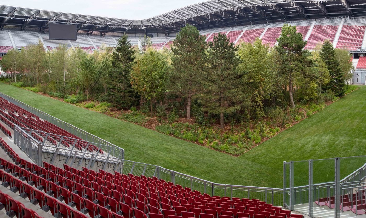 Forest in a Football Stadium — Pop-Up City