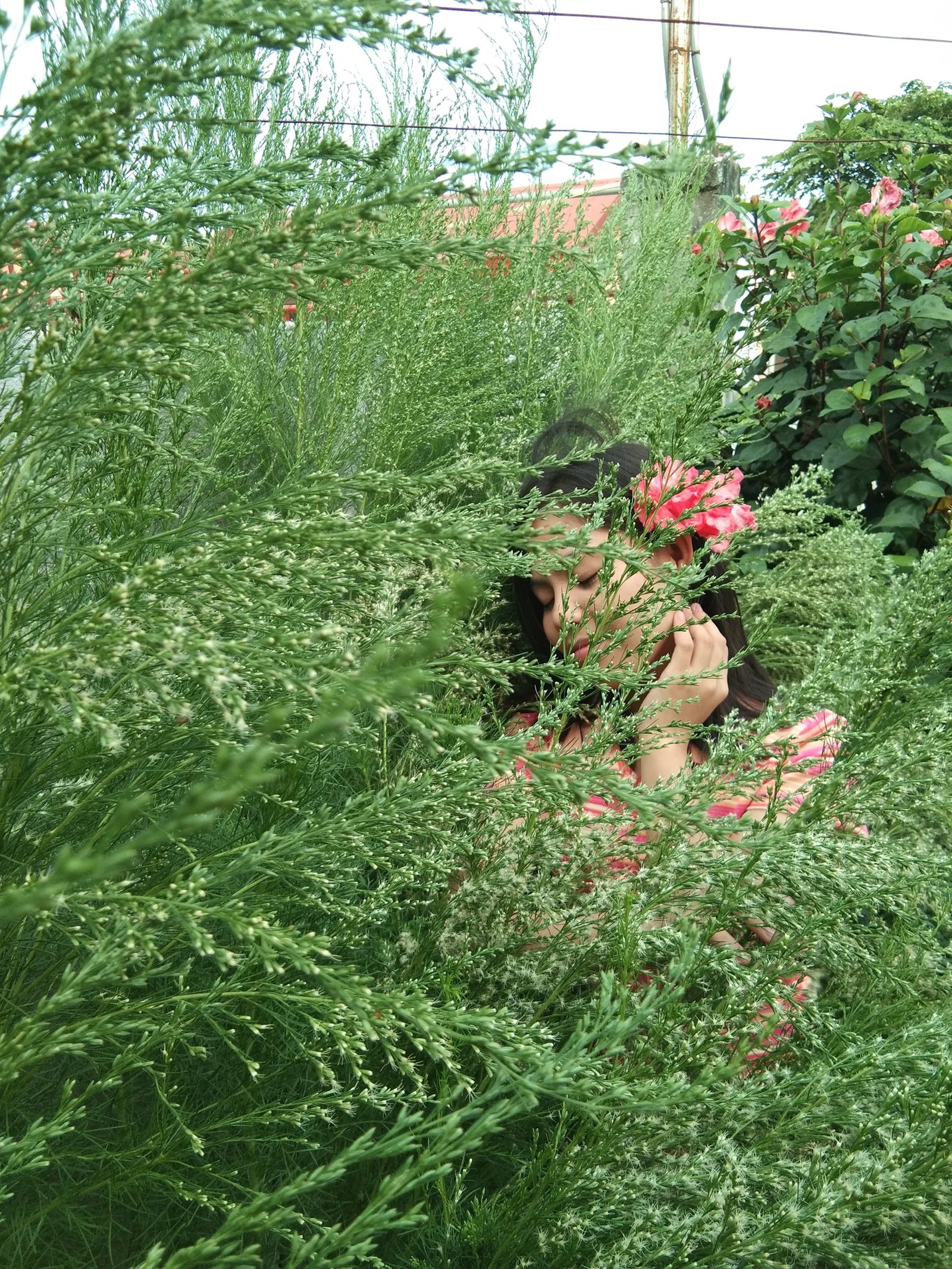Paris Encourages All Citizens to Become Urban Gardeners — Pop-Up City