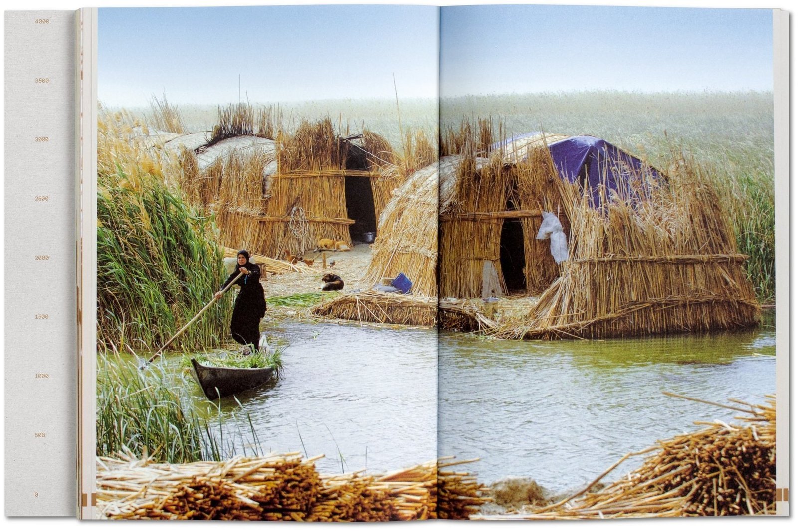 Lo—TEK: What Cities Can Learn From Indigenous Innovation — Pop-Up City